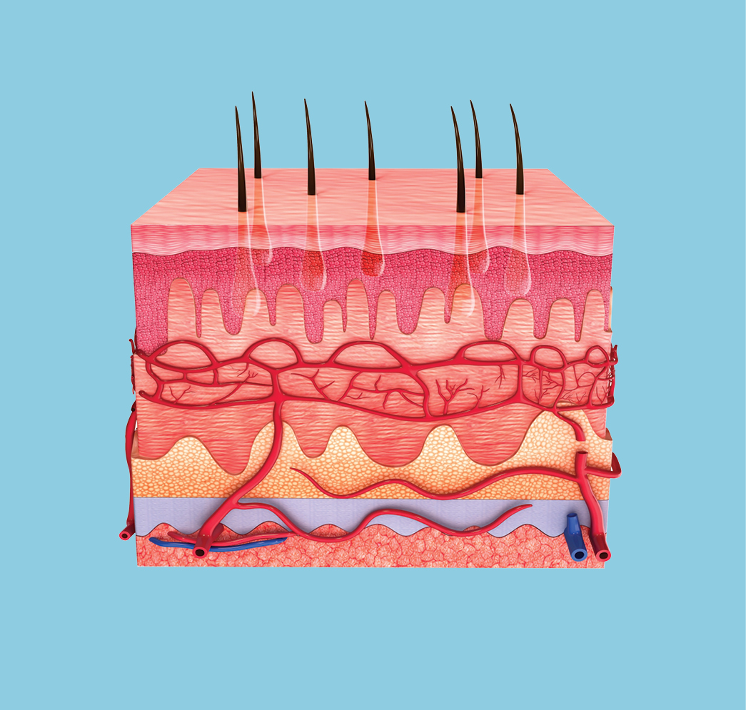 10 Surprising Things About Your Skin